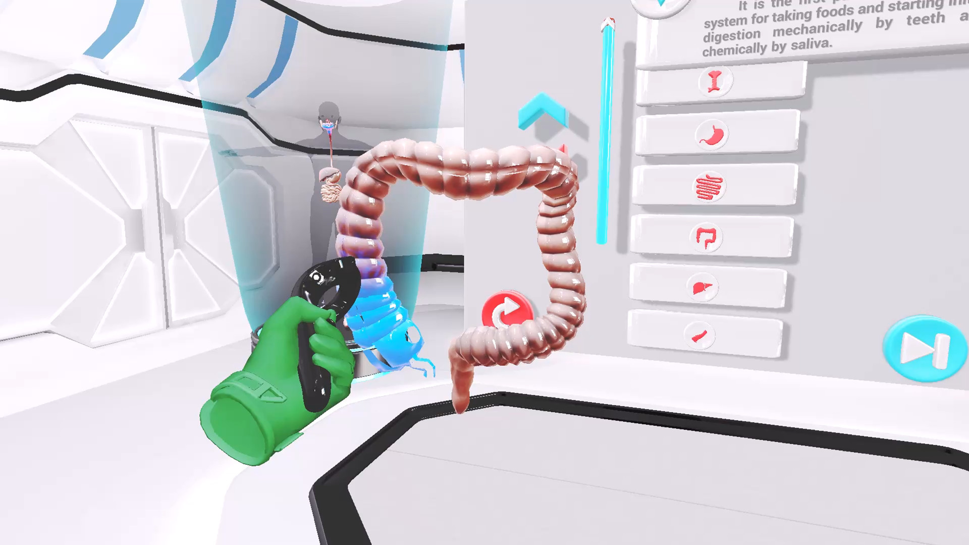 VRLab Academy Anatomy VR on Steam