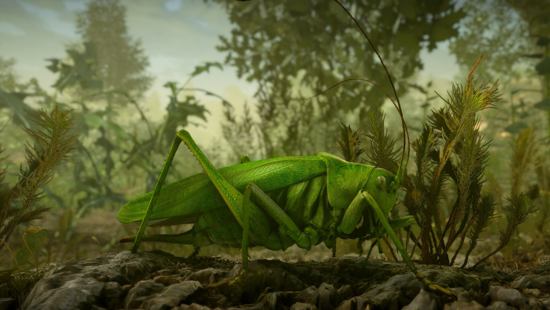 Insect Worlds on Steam