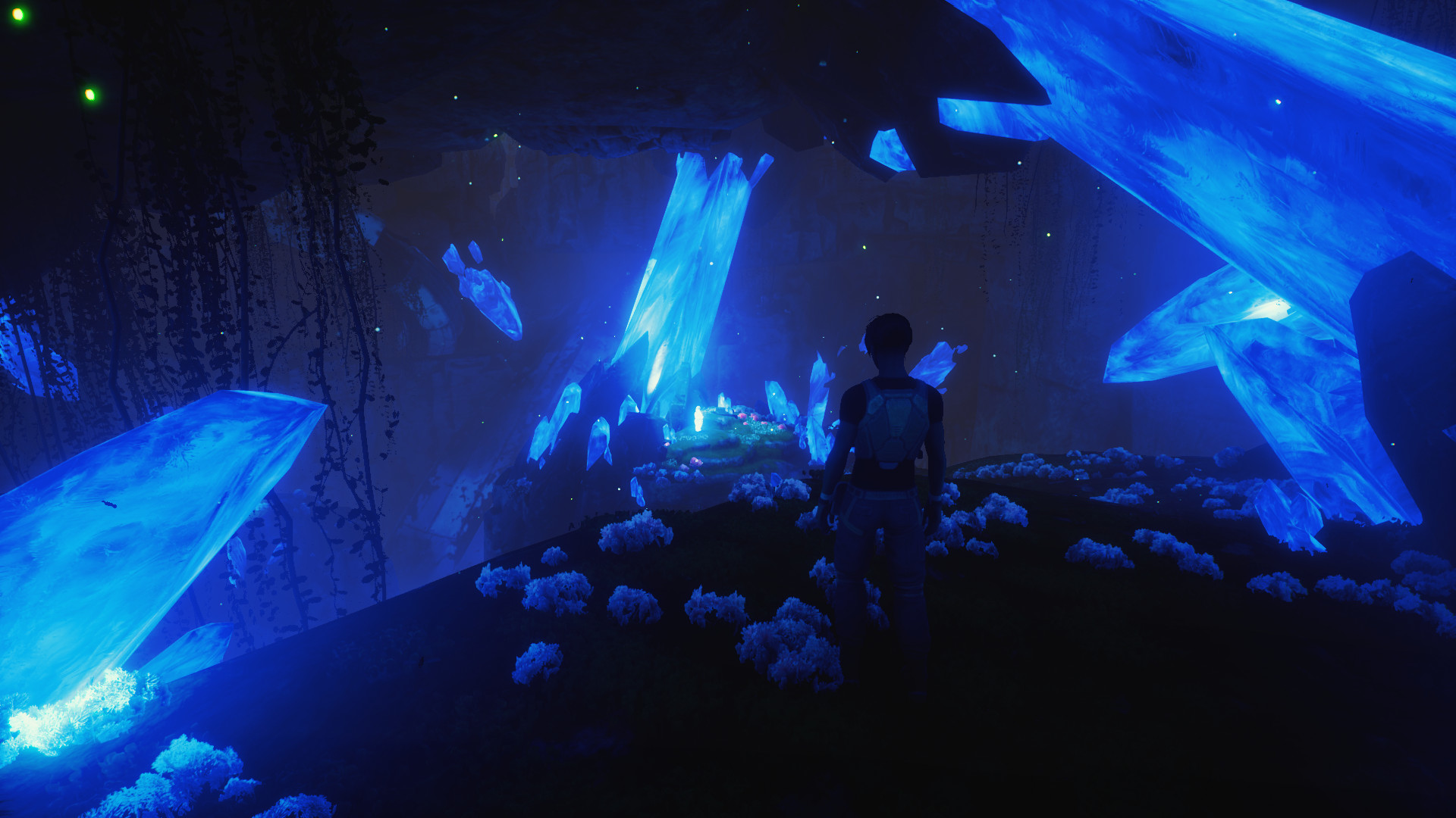 Wild Life Screenshots · SteamDB