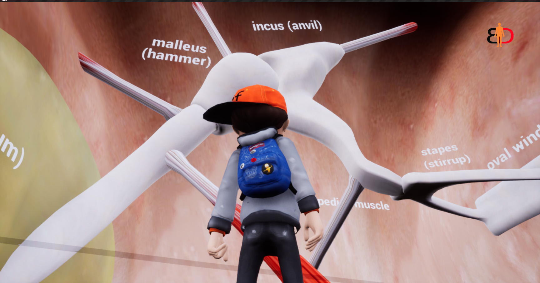 Body Discovery on Steam