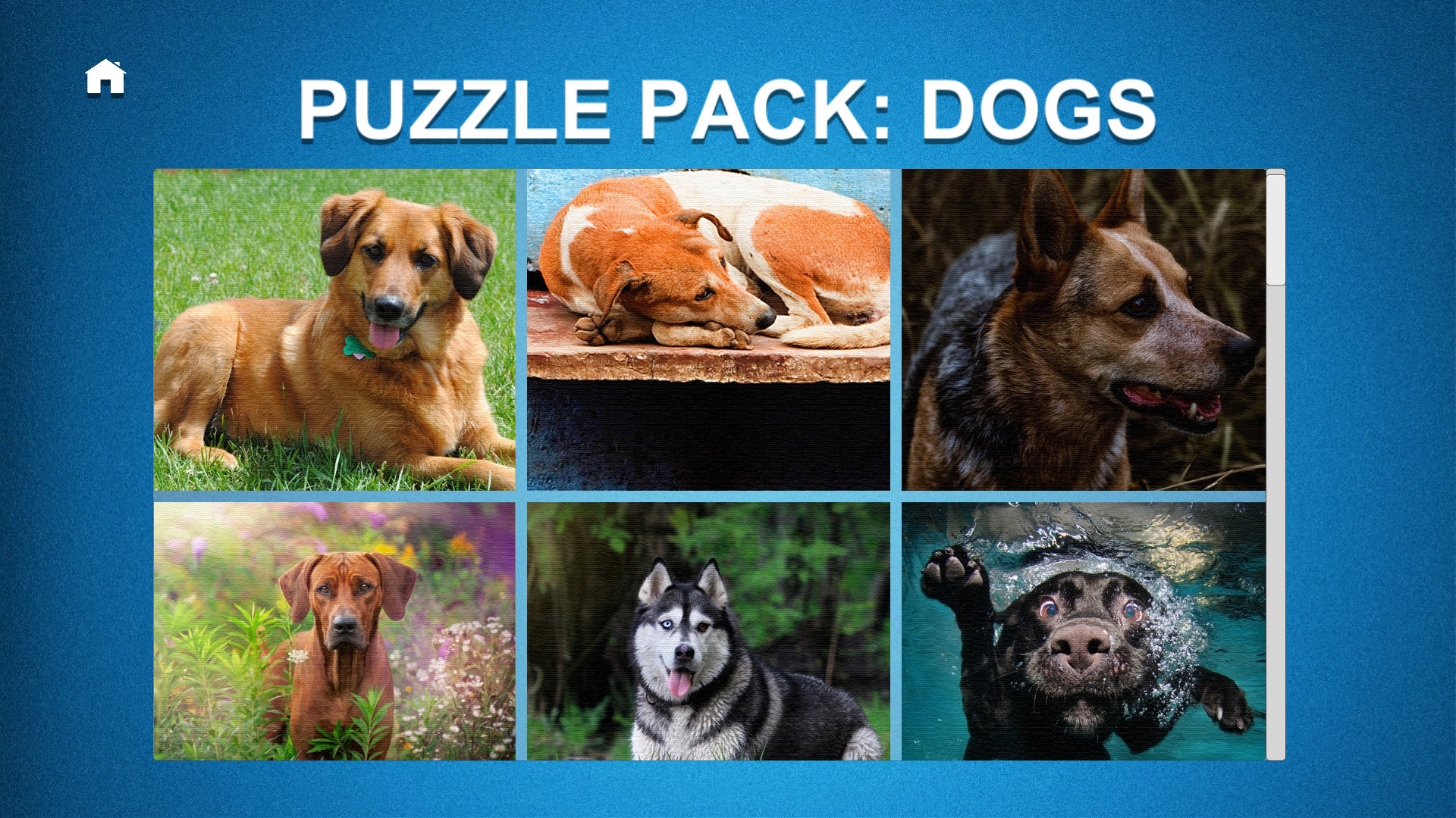 PUZZLE: ULTIMATE - Puzzle Pack: DOGS on Steam
