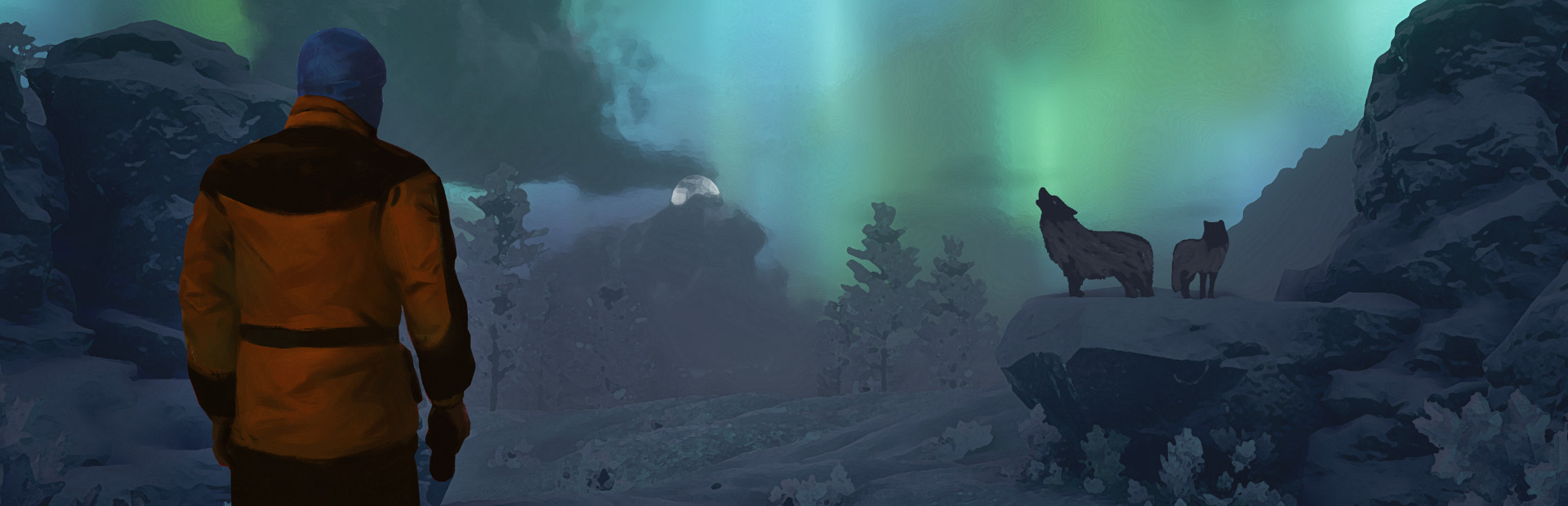 Northern Lights (App 1090800) · SteamDB