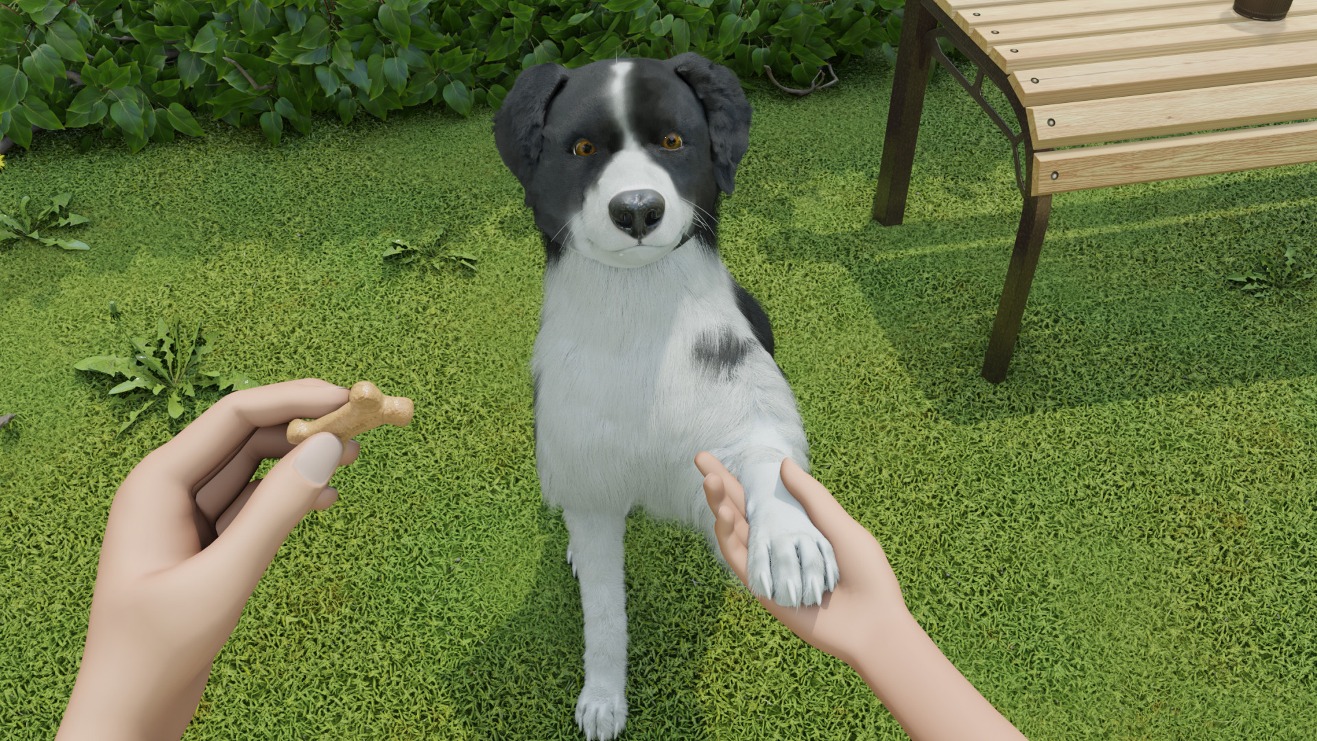 Dog Trainer on Steam