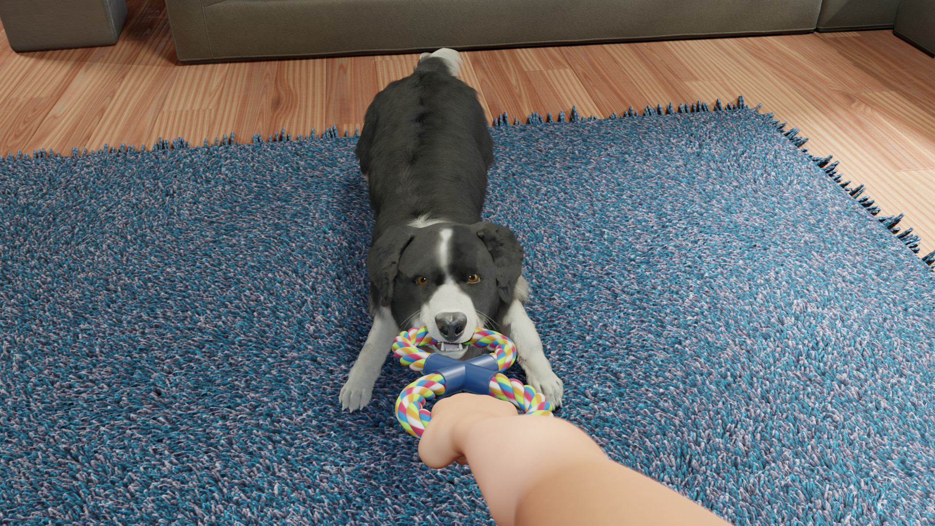 Dog Trainer on Steam