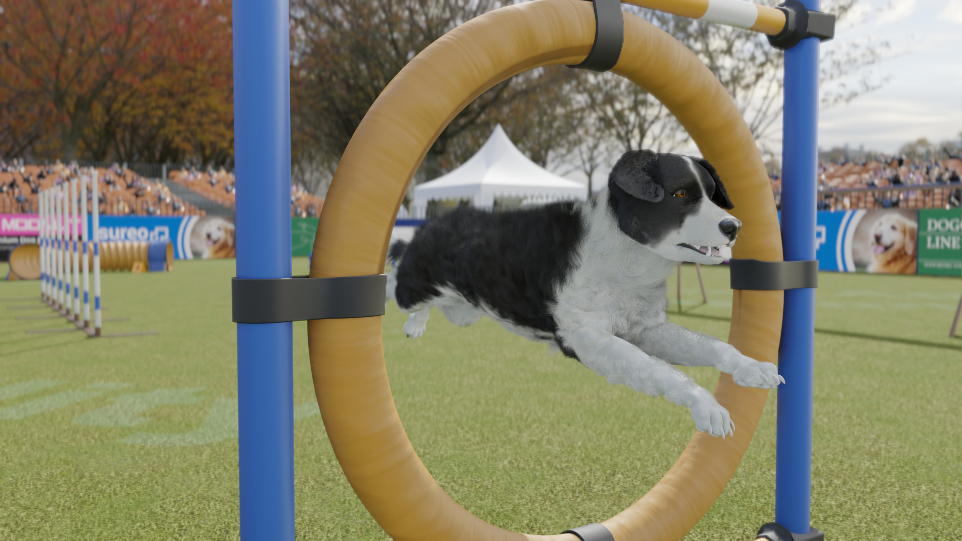 Dog Trainer on Steam