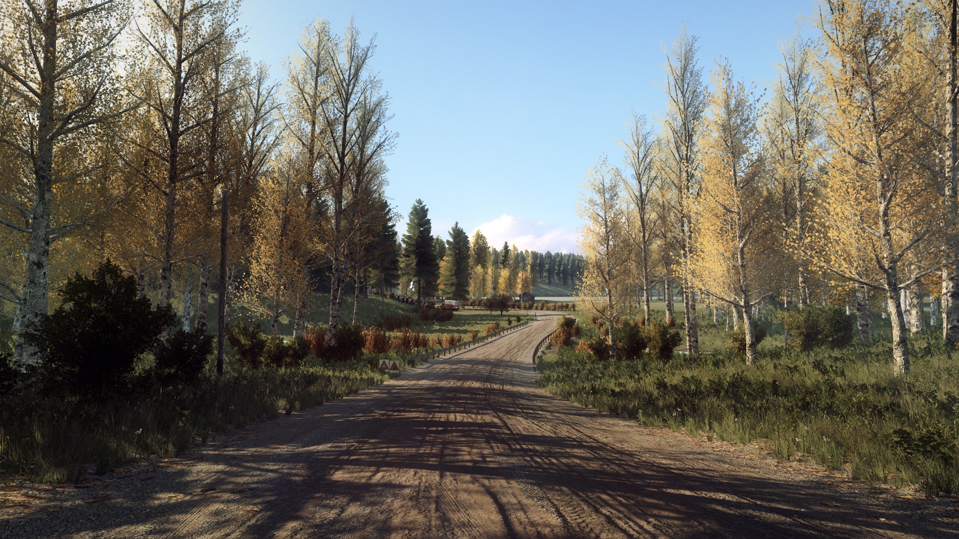 DiRT Rally 2.0 - Finland (Rally Location) on Steam
