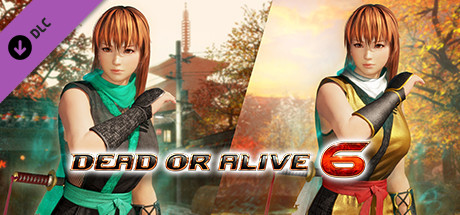 DOA6 Morphing Ninja Costume - Phase 4 on Steam