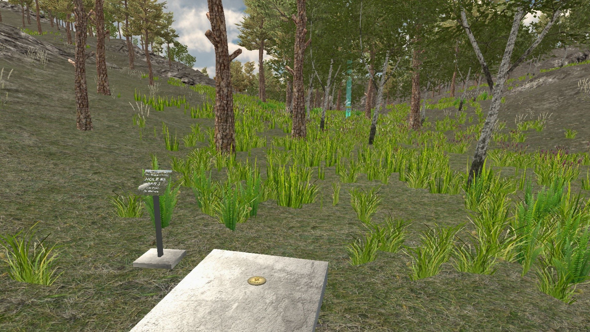 Disc Golf Adventure VR on Steam