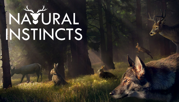 Natural Instincts: European Forest on Steam