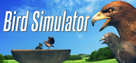 Bird Simulator on Steam