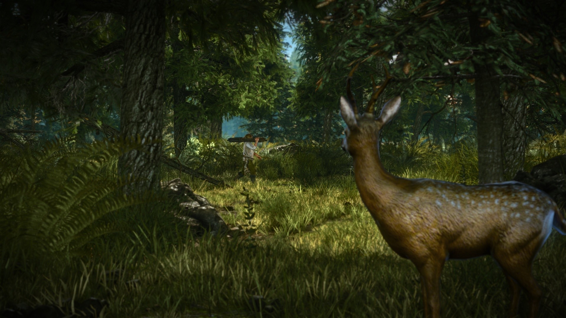 The Witcher 2: Assassins of Kings Enhanced Edition Soundtrack on Steam