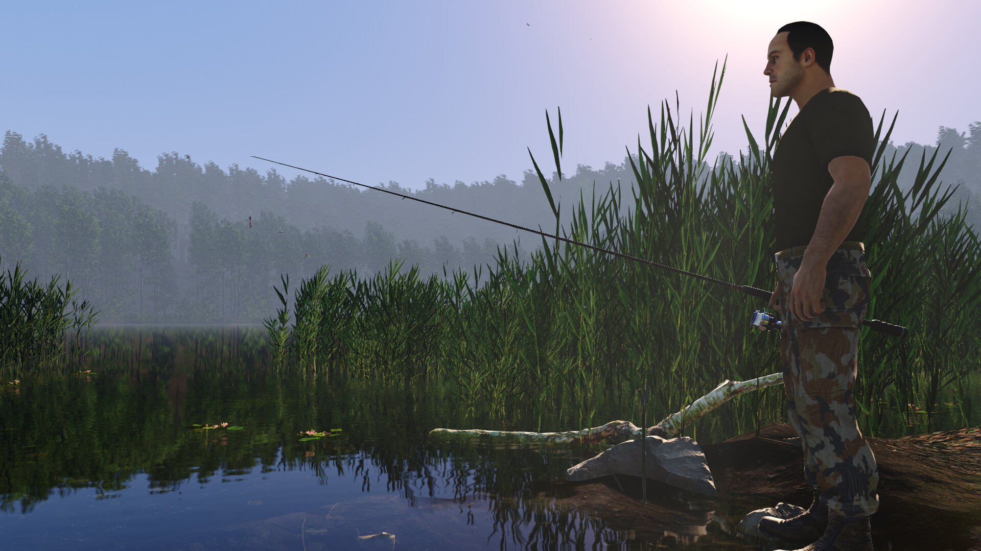Steam：Professional Fishing 2