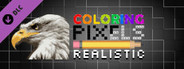 Coloring Pixels Collection on Steam