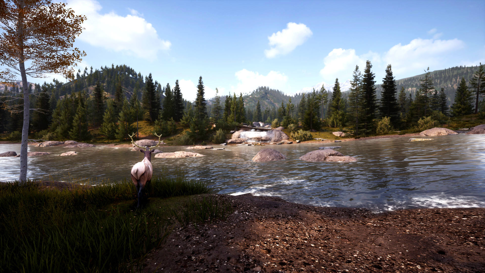 Hunting Simulator 2 Bear Hunter Pack on Steam