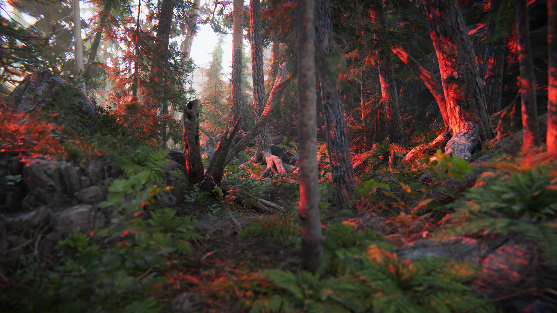 The Forest Cathedral on Steam