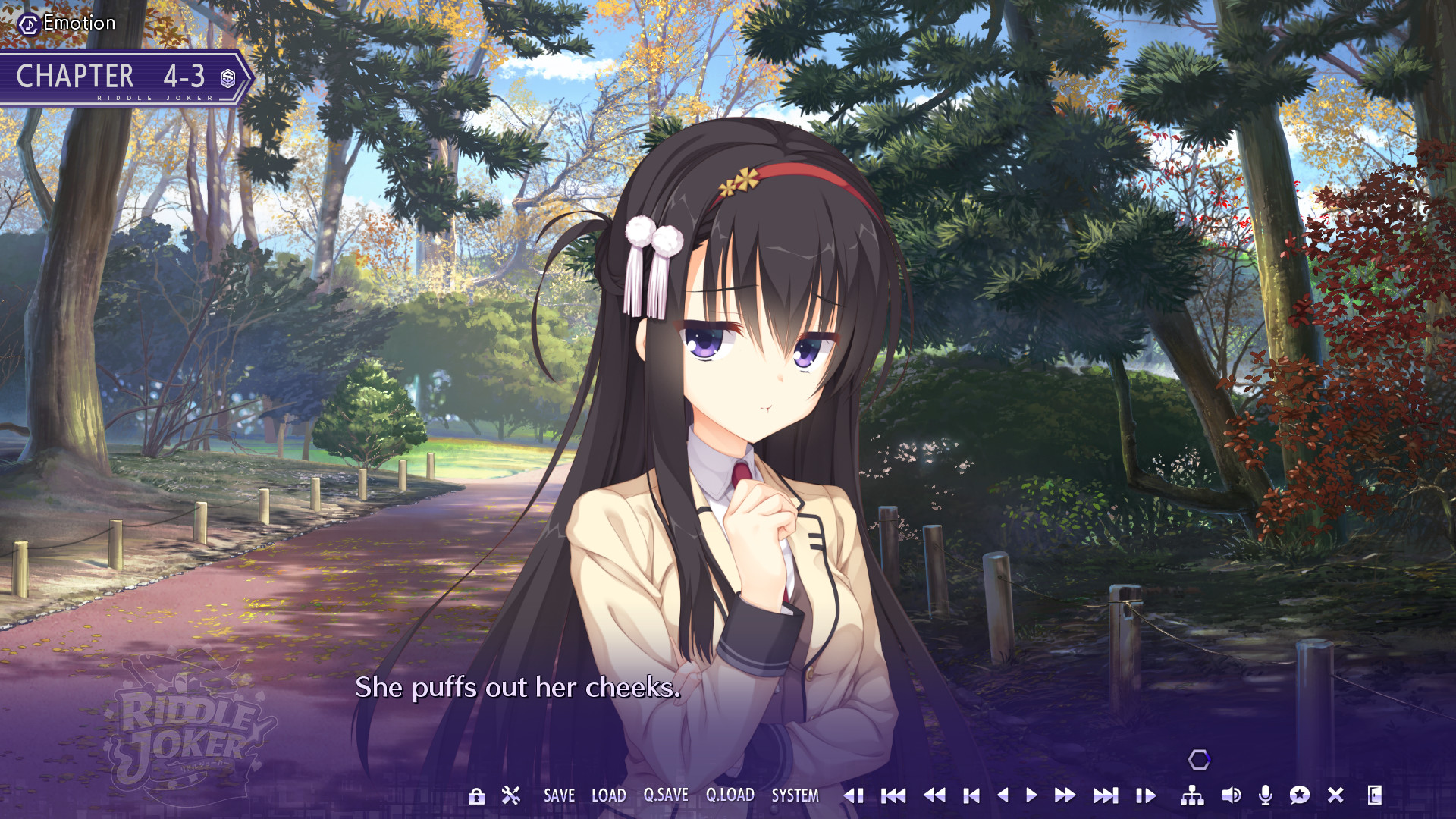 Riddle Joker on Steam