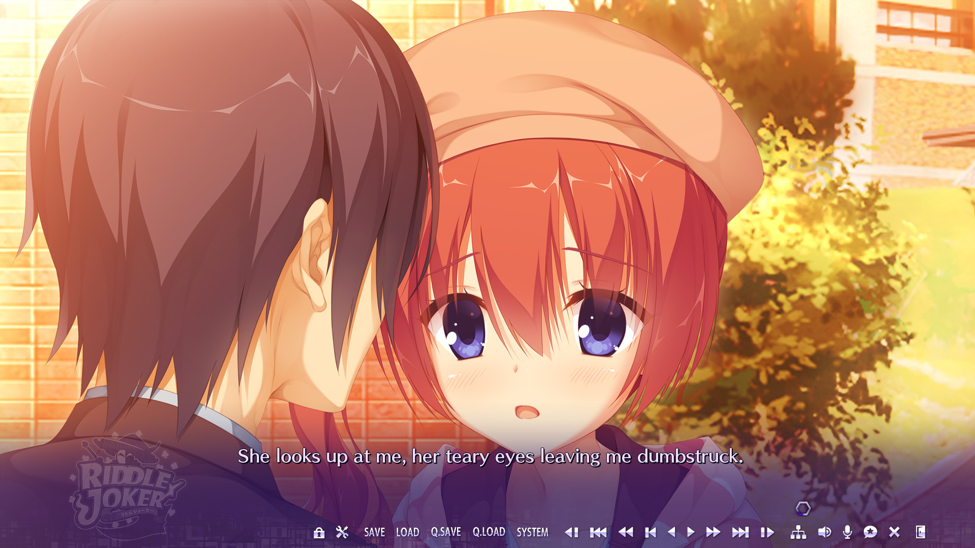 Riddle Joker on Steam