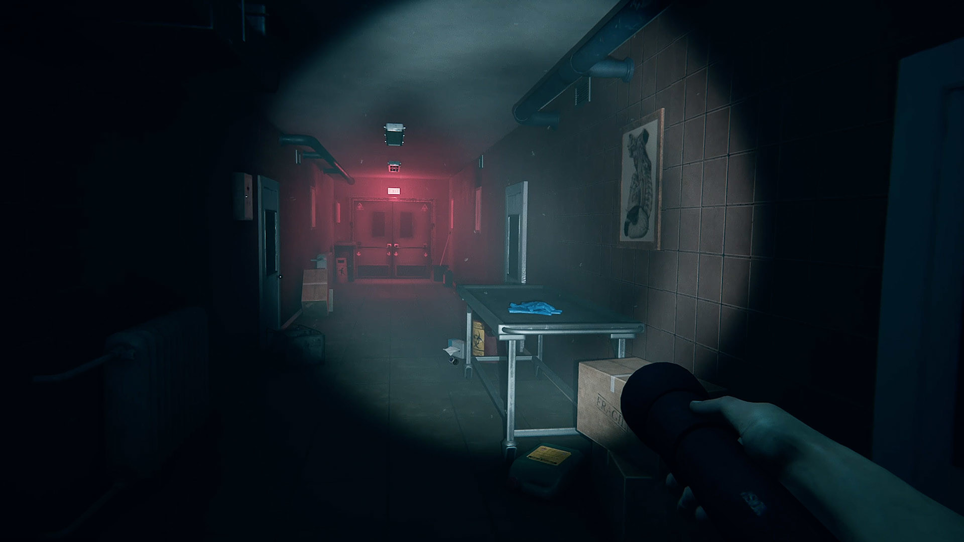 Autopsy Simulator on Steam