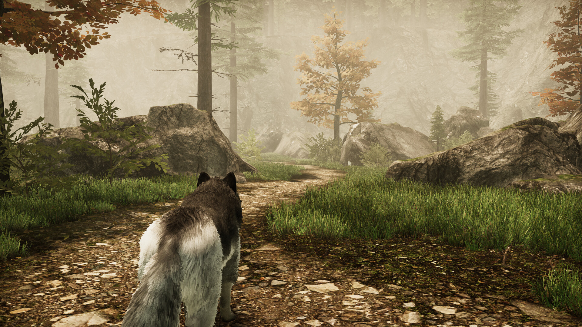 Tale Of A Wolf on Steam