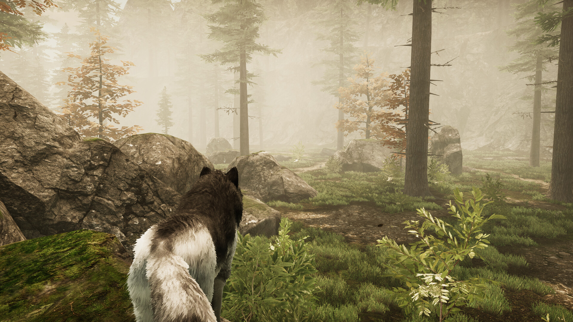 Tale Of A Wolf on Steam