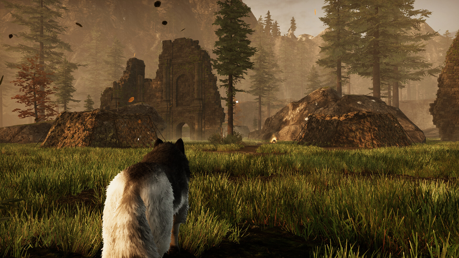 Tale Of A Wolf on Steam