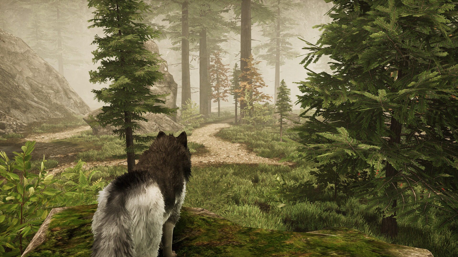 Tale Of A Wolf on Steam