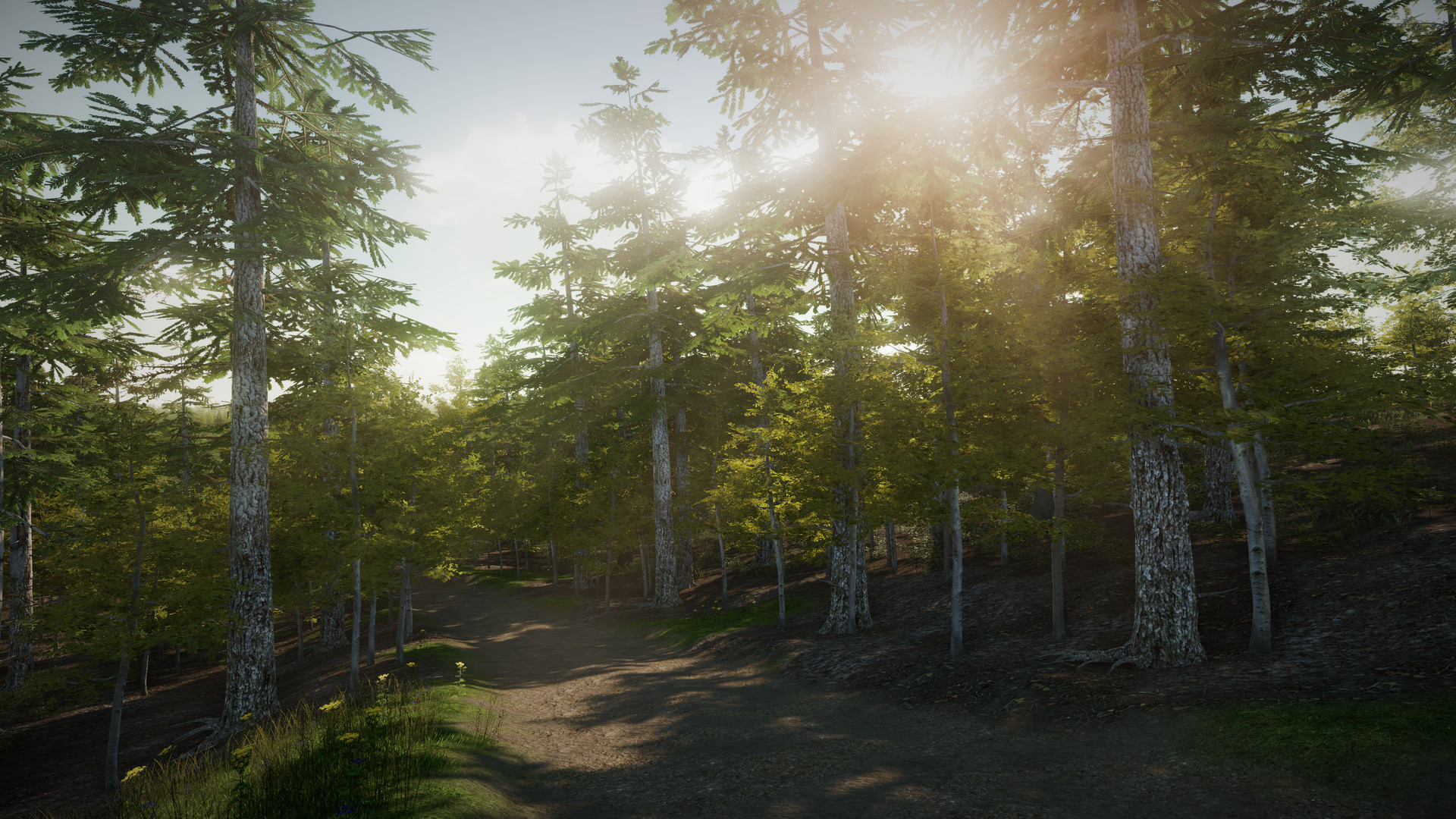 EreaDrone | FPV Drone Simulator no Steam