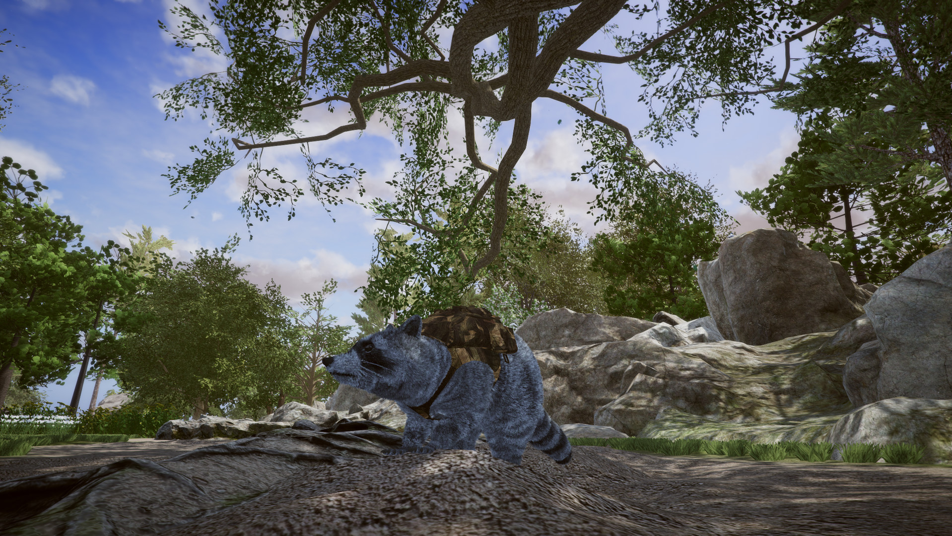 Wanted Raccoon on Steam