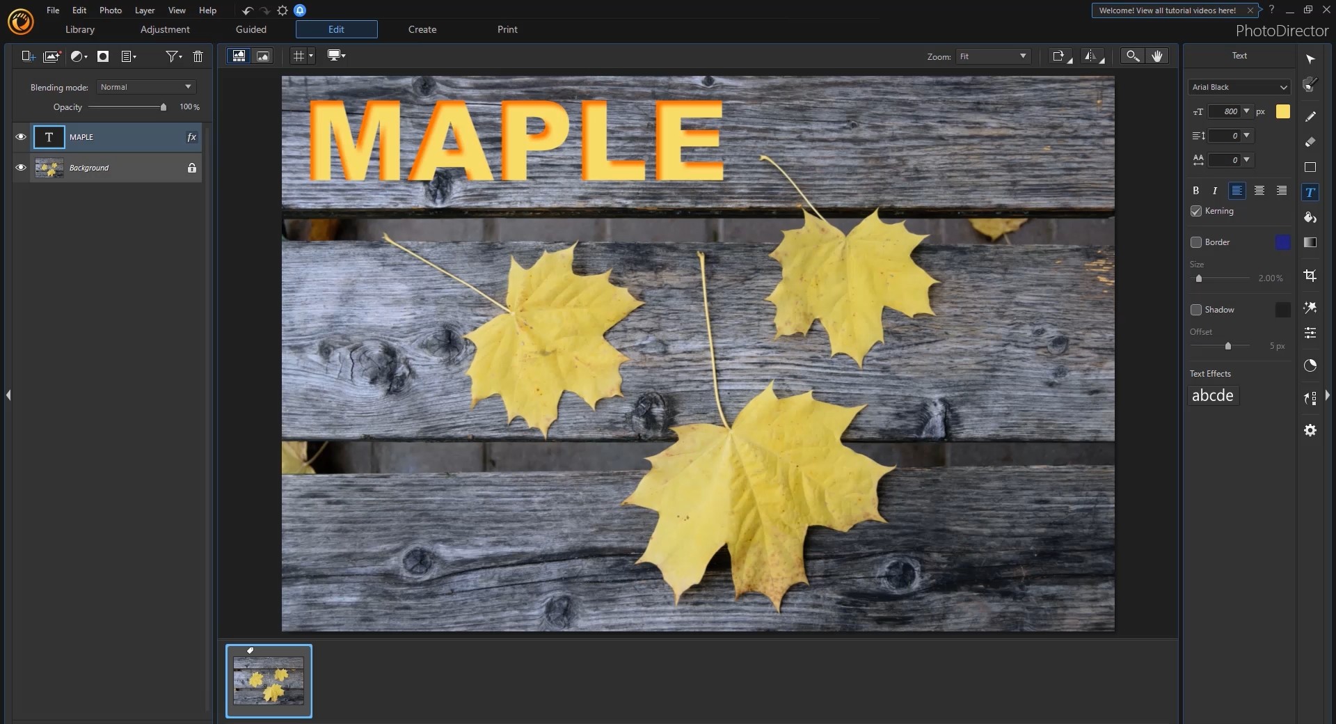 CyberLink PhotoDirector 12 Ultra on Steam