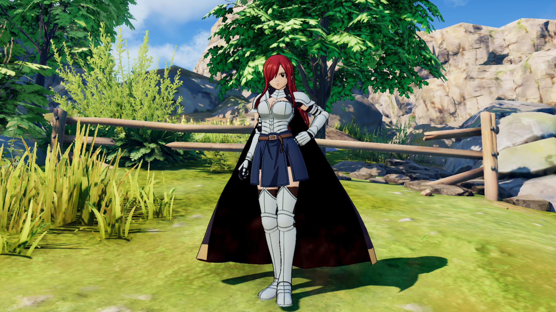 Fairy Tail Erza Costume