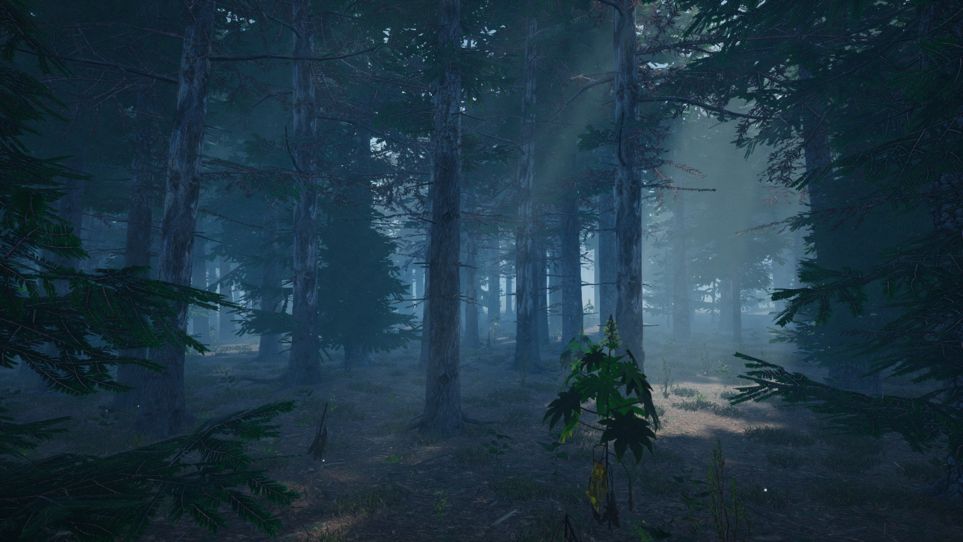Mushroom Picker Simulator on Steam