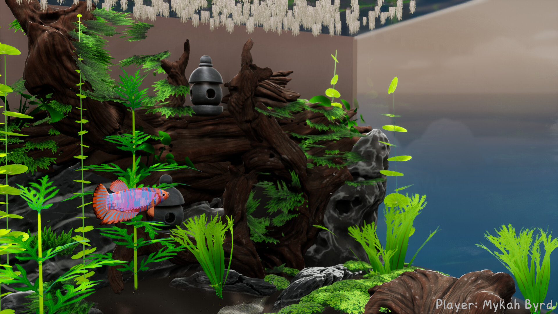 Save 20% on Fish Game on Steam