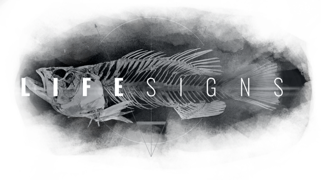 Lifesigns Steam Charts · SteamDB