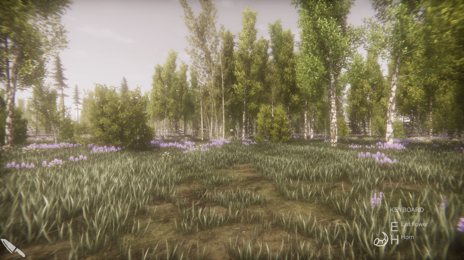 Flower Challenge on Steam