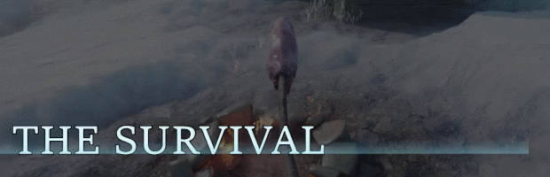 Winter Survival Simulator PC Download Full Game For Mac – Ocean OF Games