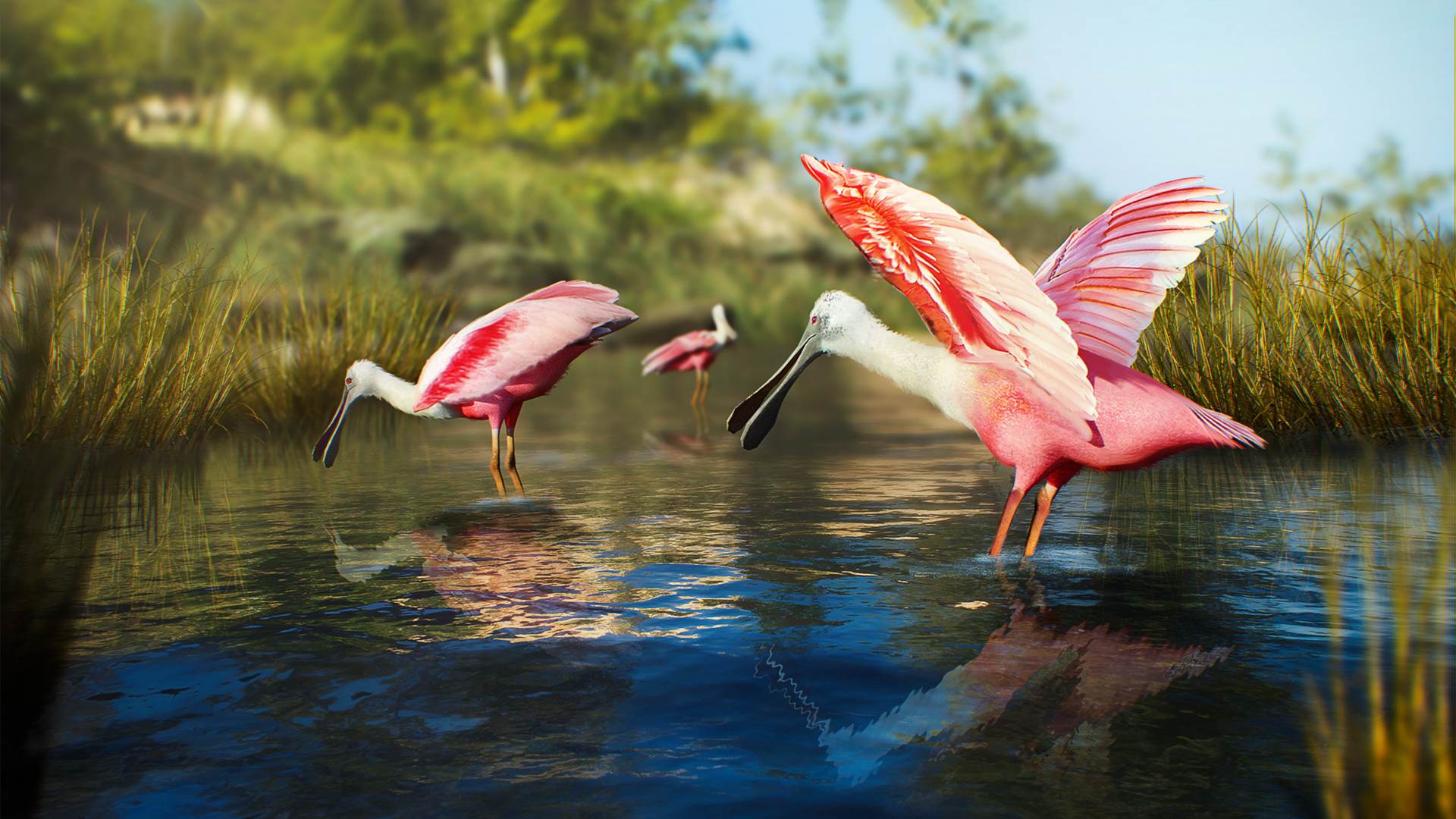 Birding Simulator: Bird Photographer on Steam
