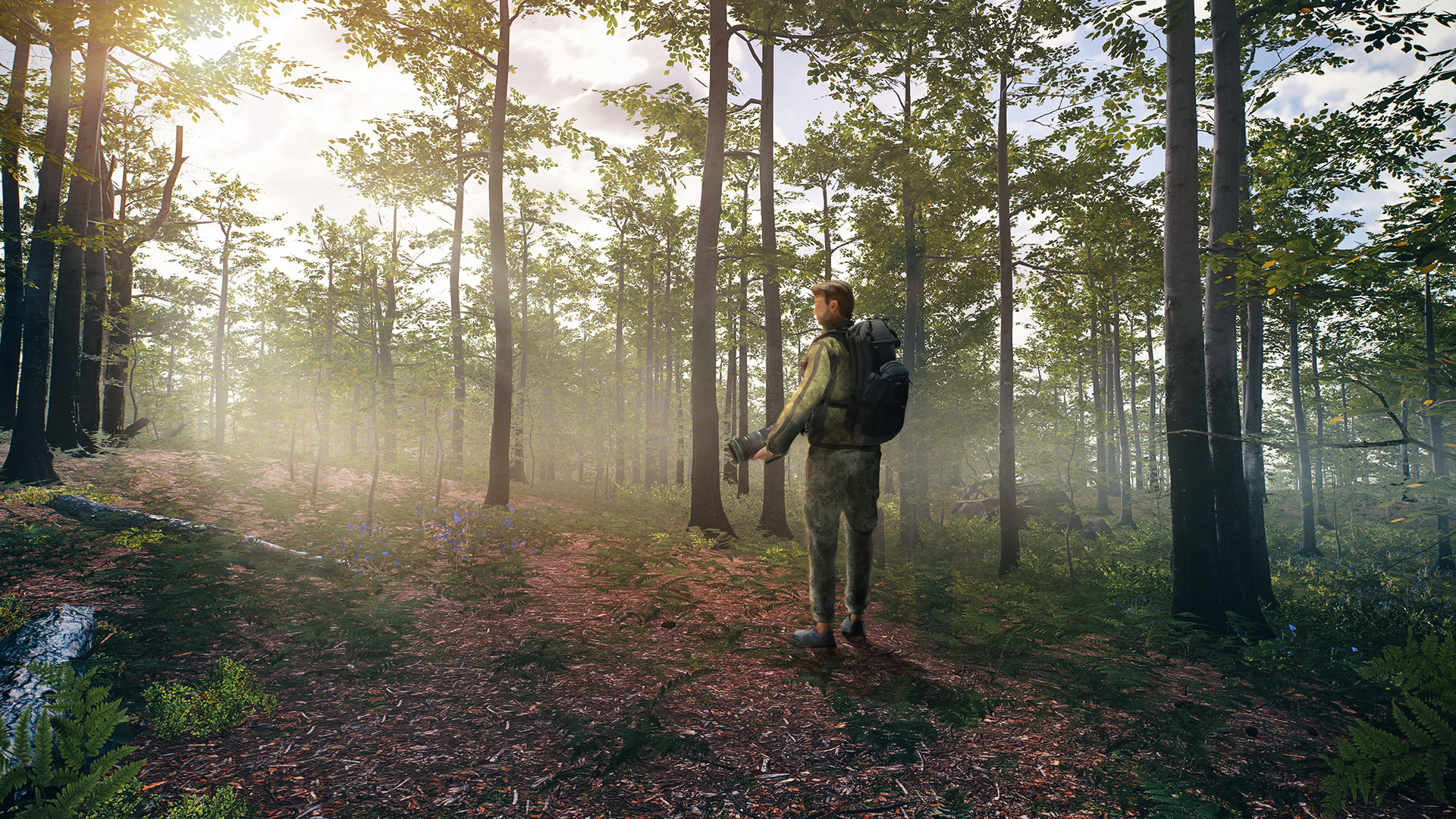 Birding Simulator: Bird Photographer on Steam