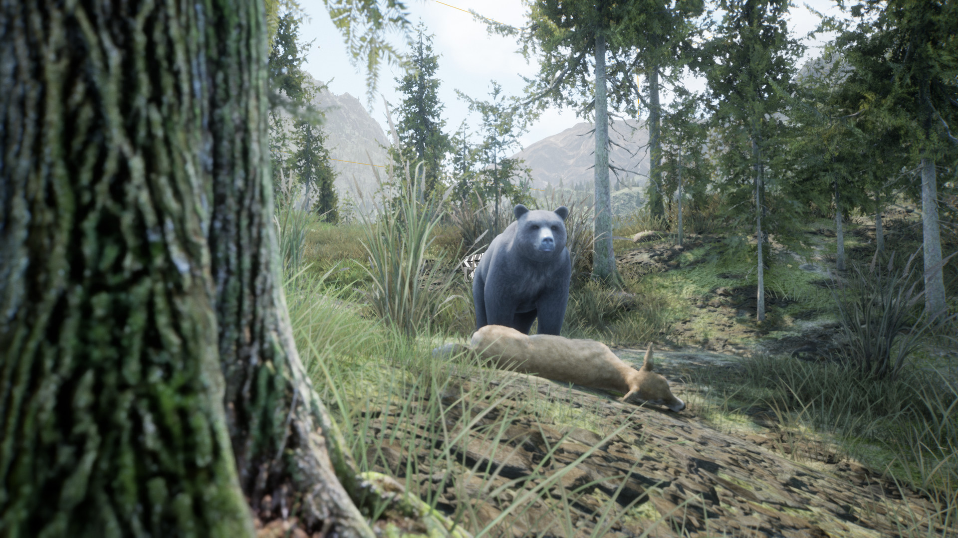 Wilderness on Steam
