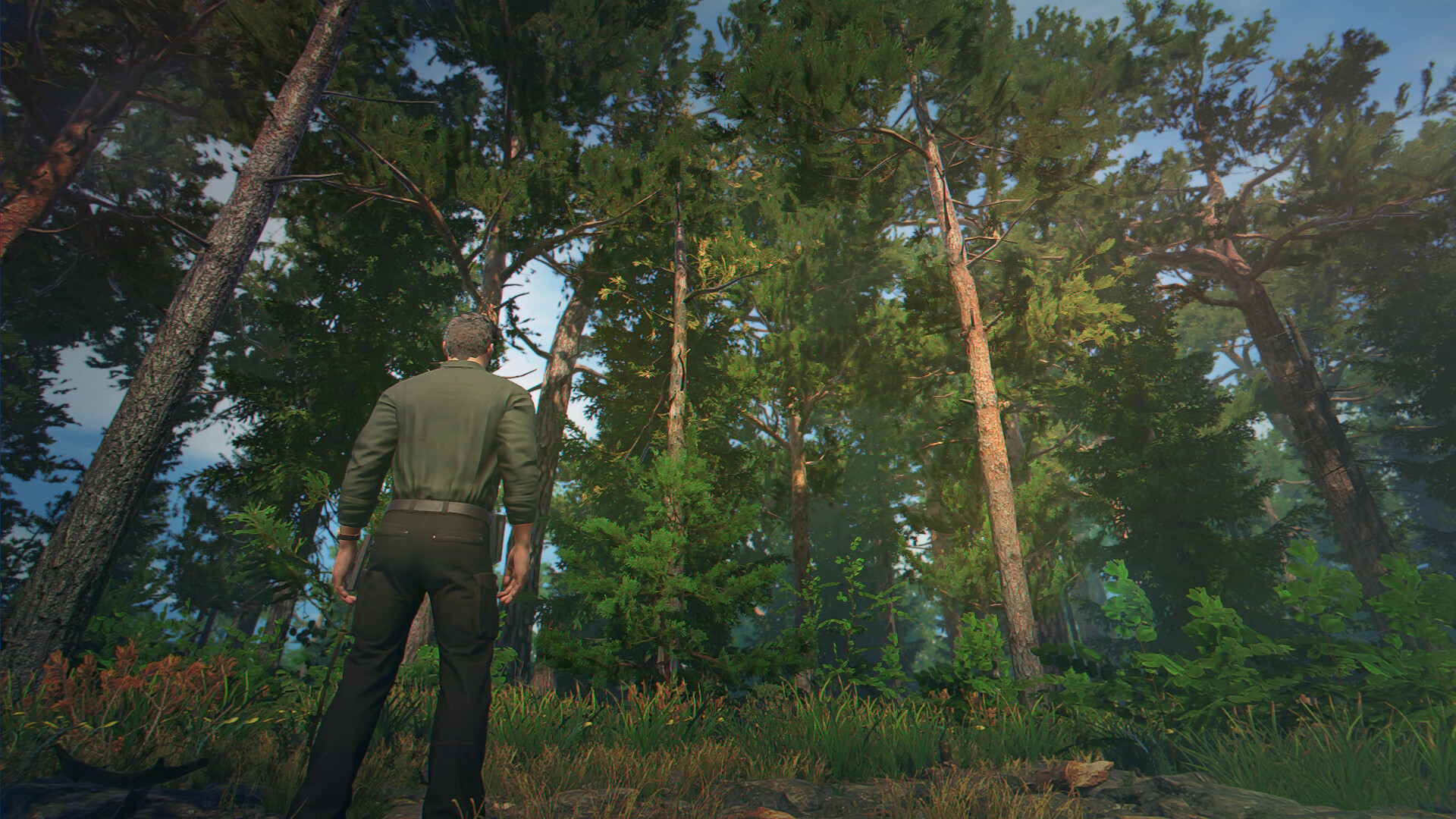 Forester Simulator on Steam