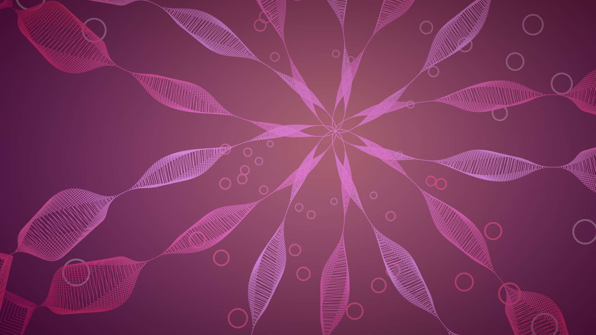 Zen Trails on Steam