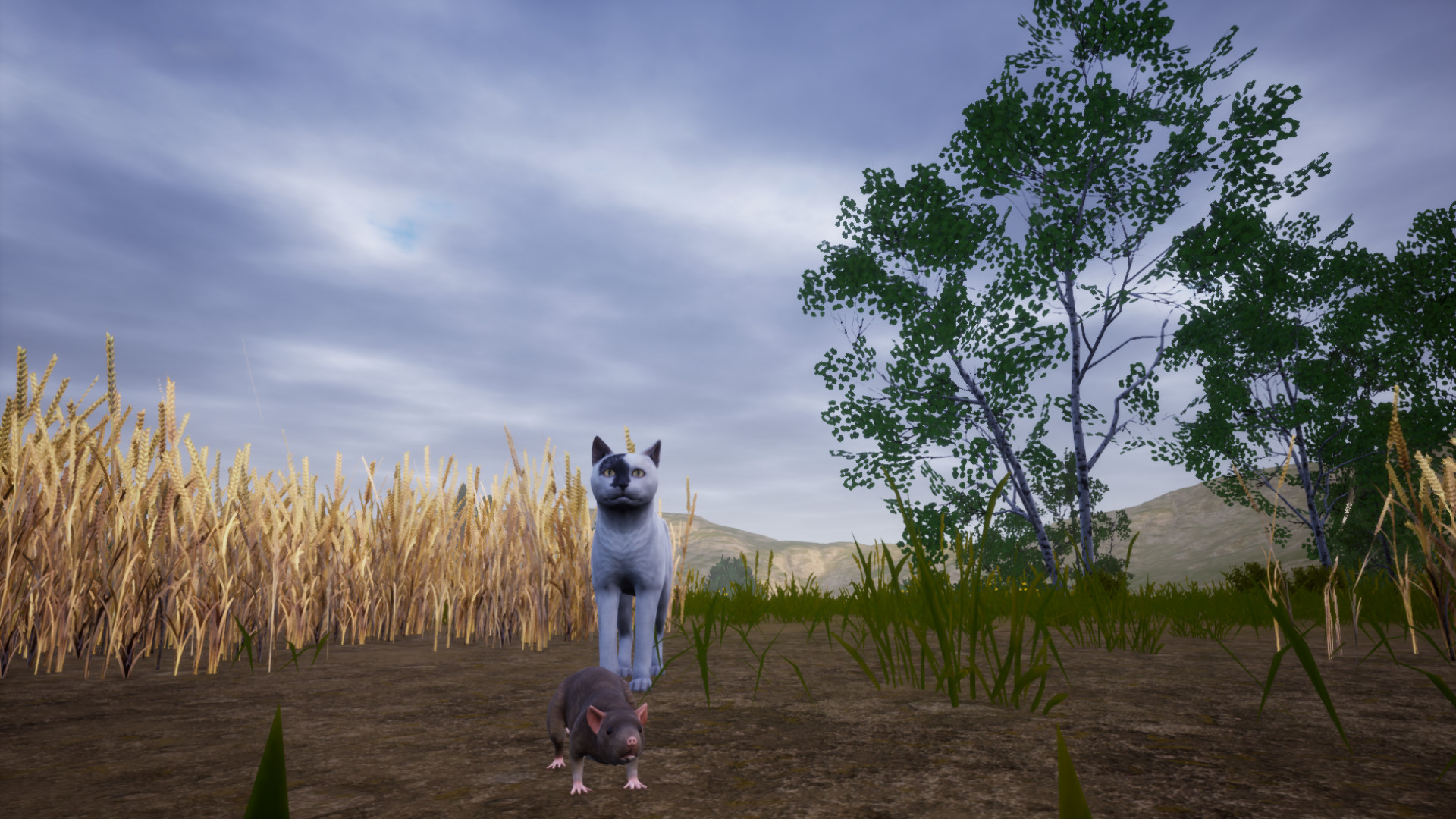 Cat Simulator: Meow on Steam