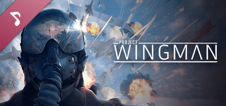 Project Wingman Soundtrack Price history · SteamDB