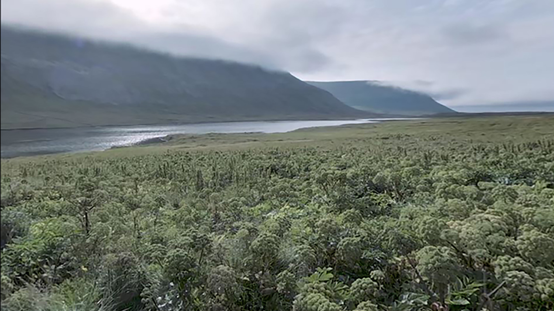 Flow - Calm for clarity on Steam