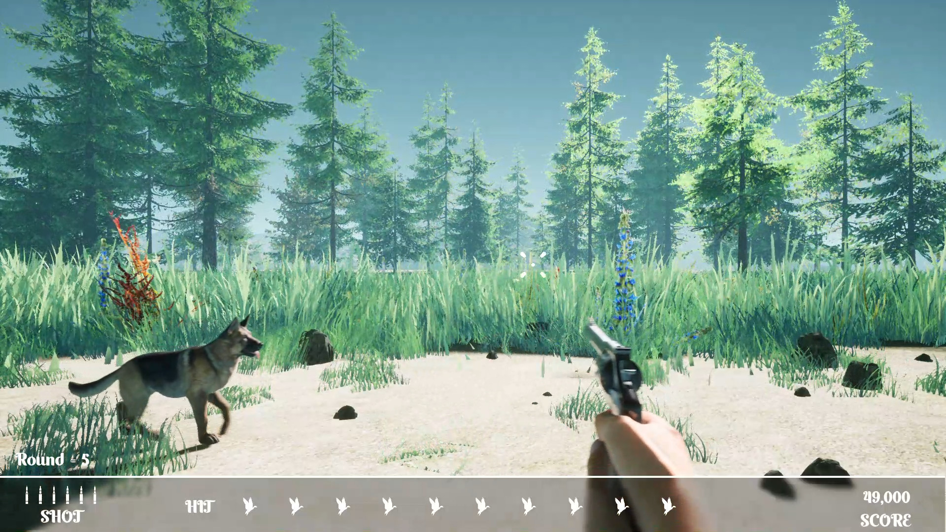 Duck Flight Simulator 2021 on Steam