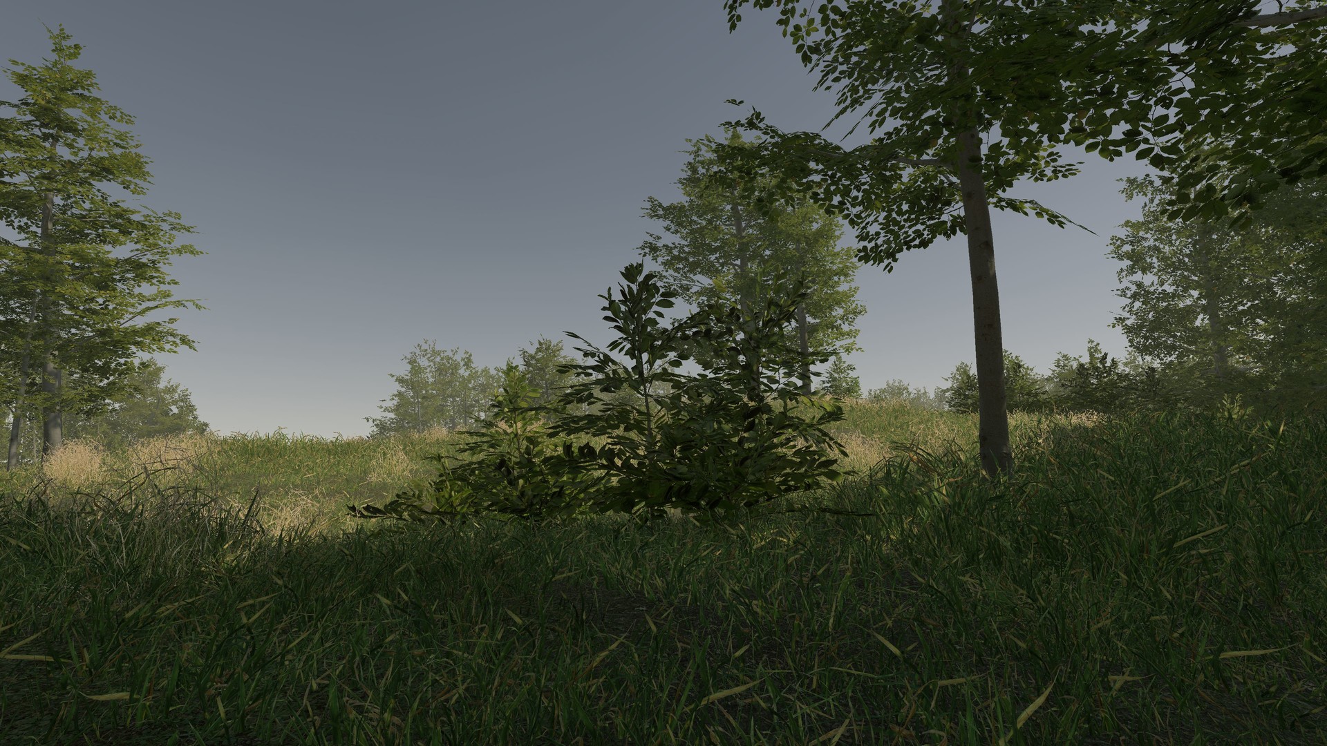 VR Walking Simulator on Steam