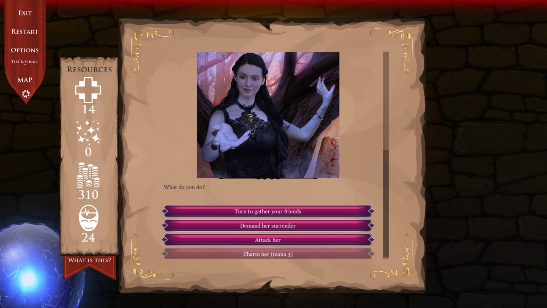 DnD Adventure: Wizard's Choice on Steam