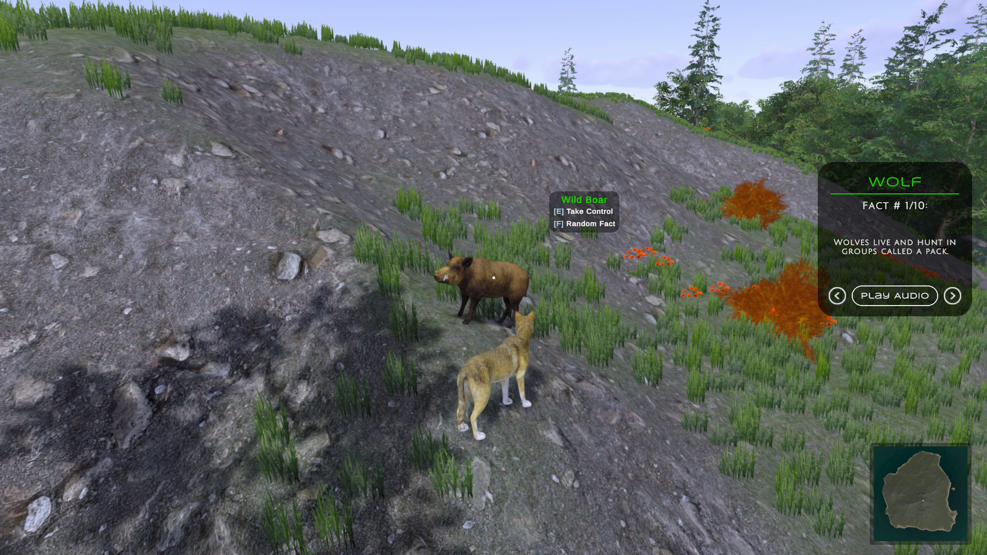 In the Wild on Steam