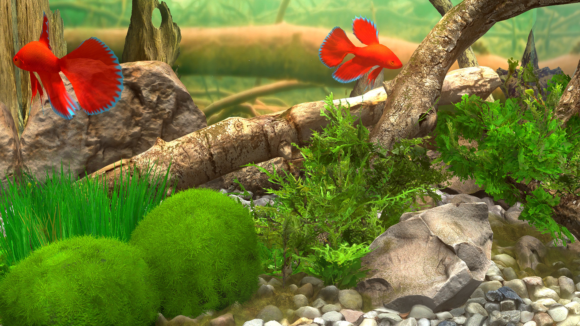 Behind Glass: Aquarium Simulator on Steam