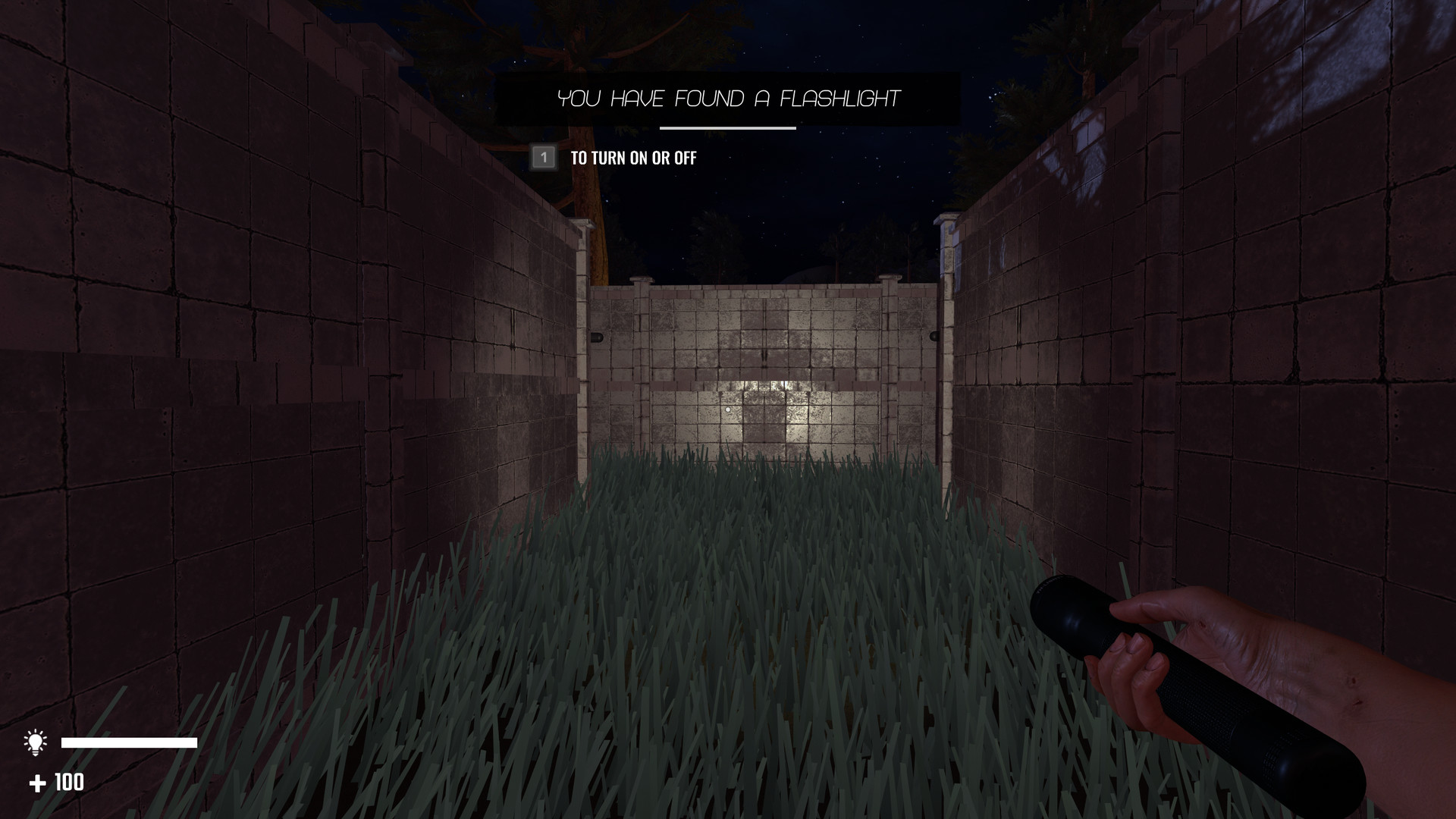 Labyrinthus on Steam