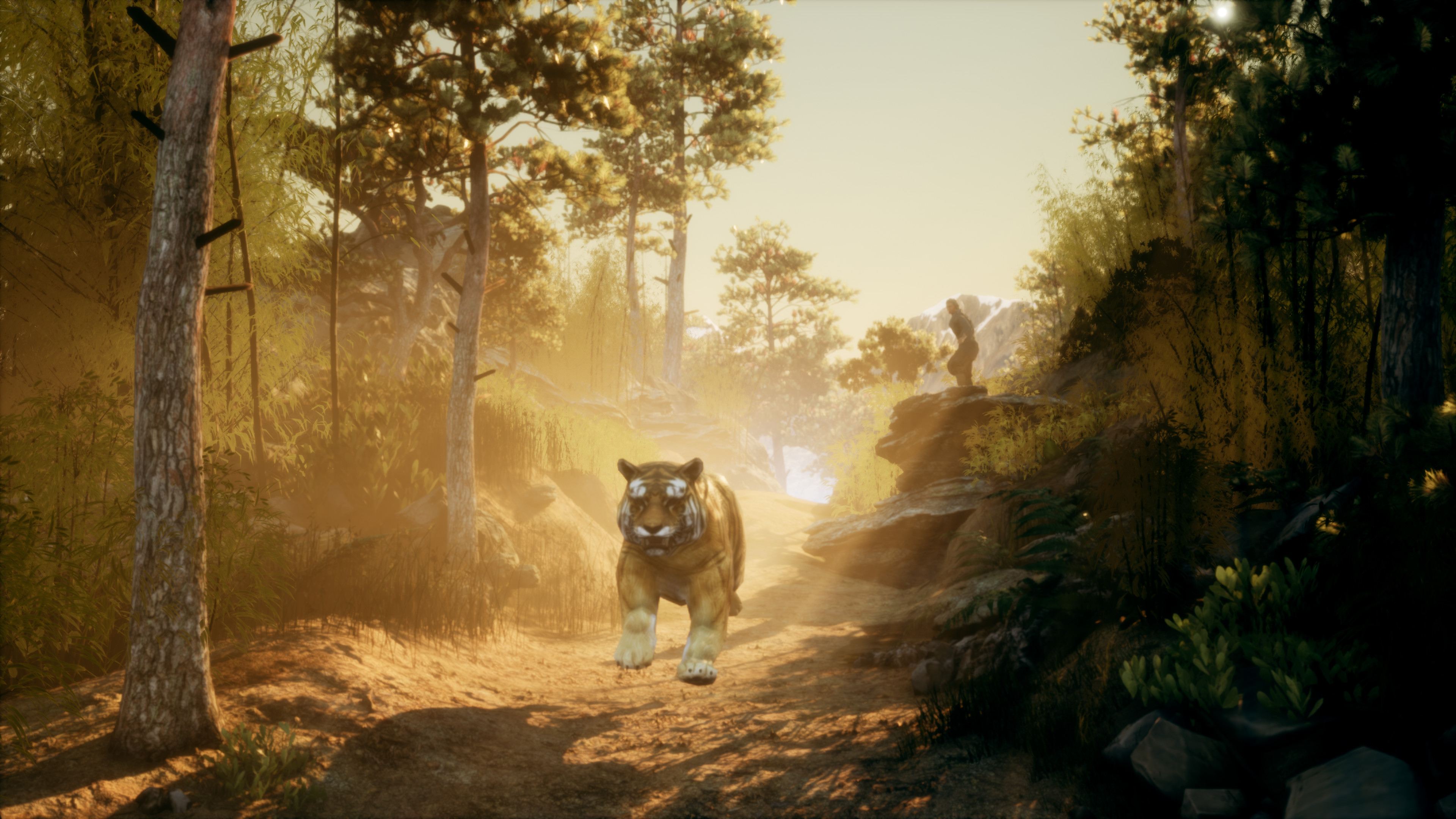 Chinese Frontiers (App 1640820) · SteamDB